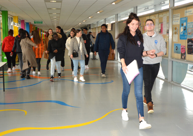 Actualités GEA – IUT Le Havre